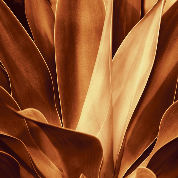 Union Rustic Jezzel Santa Fe I by Caroline Kelly - Wrapped Canvas Print ...