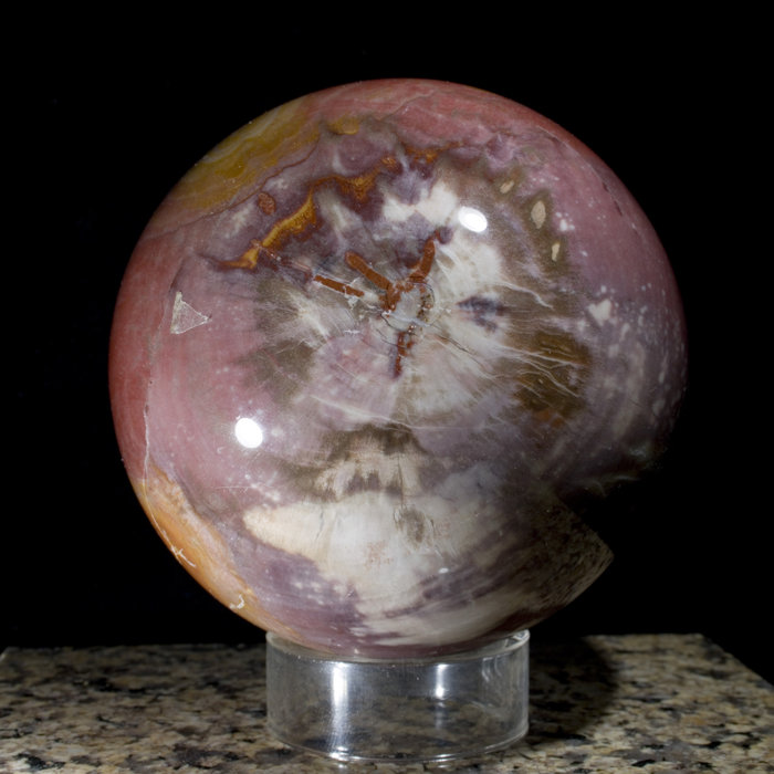 Dakota Fields Arhaam Large Petrified Sphere | Wayfair