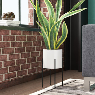 Wayfair | Indoor Planters