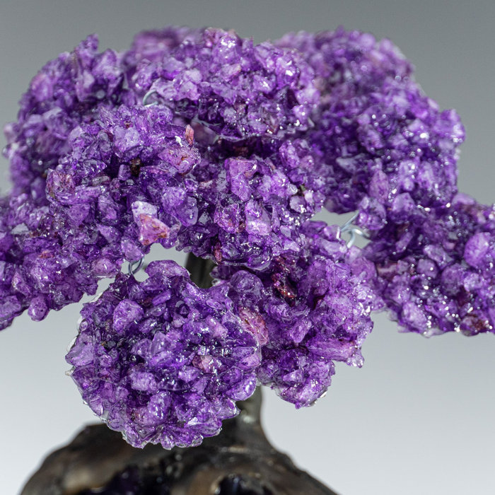 Astro Gallery of Gems Large Amethyst Clustered Gemstone Tree on ...