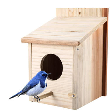 H-F Vista Squirrel Proof Hopper Bird Feeder | Wayfair