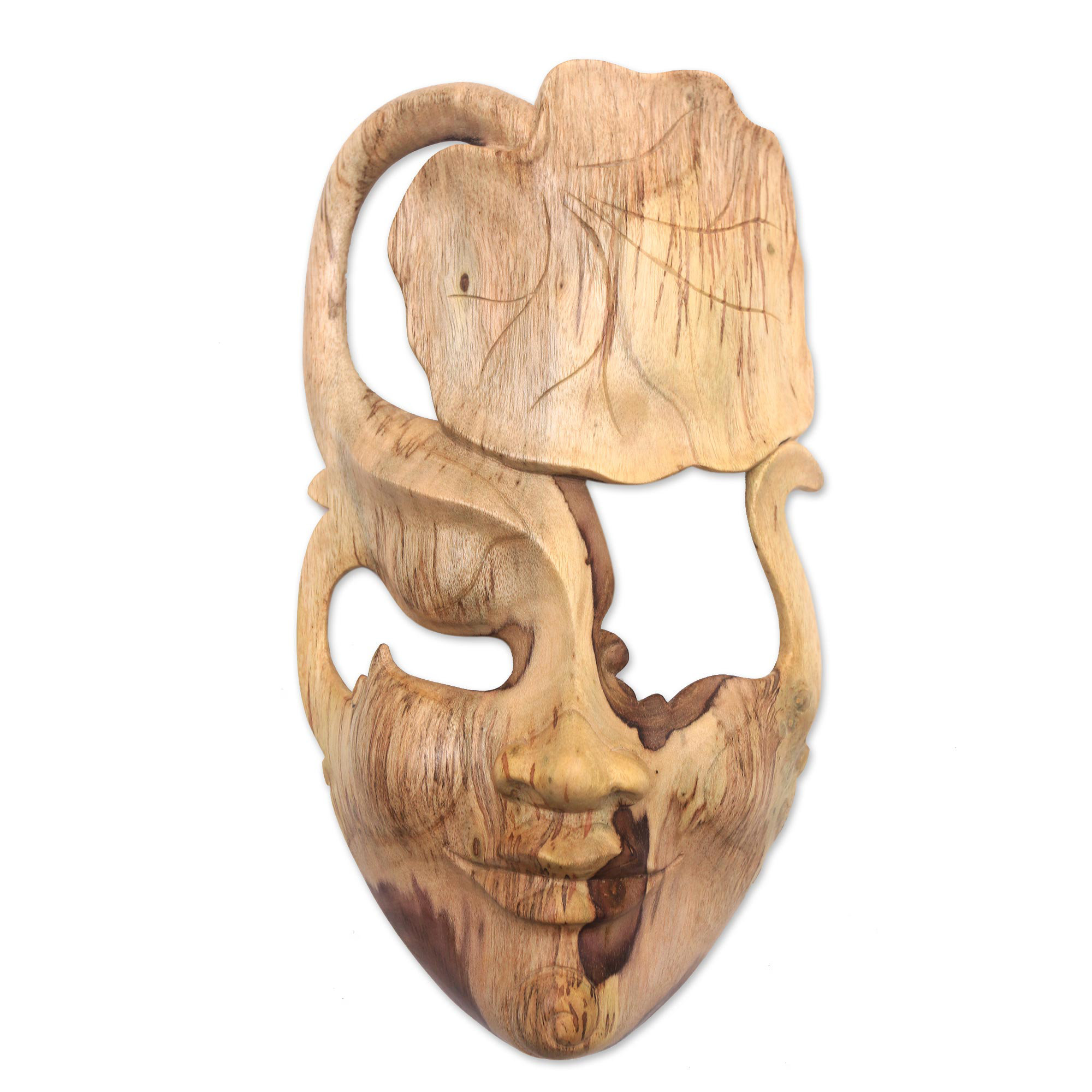 Millwood Pines One With Nature Wood Mask Wall Décor | Wayfair