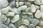 Exotic Pebbles & Glass Polished Pebbles & Reviews | Wayfair
