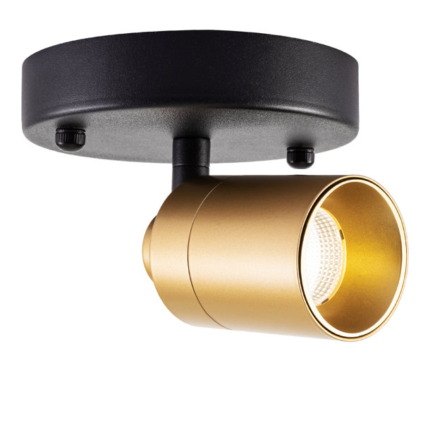 Spot-light-modern | Wayfair
