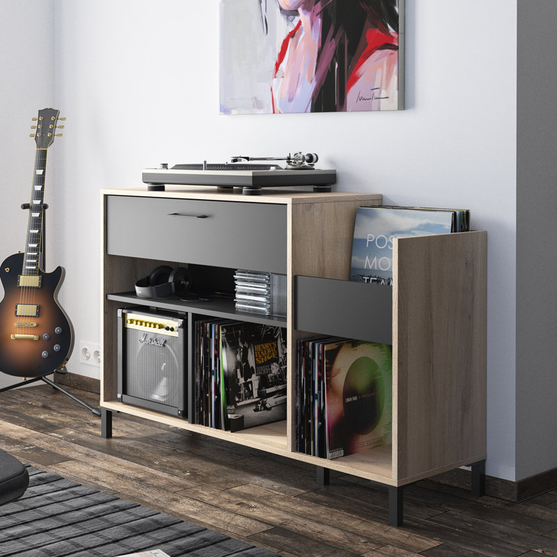 Trent Austin Chicago Multimedia Cabinet & Reviews | Wayfair.co.uk