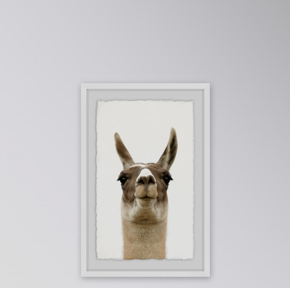 Brayden Studio® Llama Face - Picture Frame Graphic Art | Wayfair