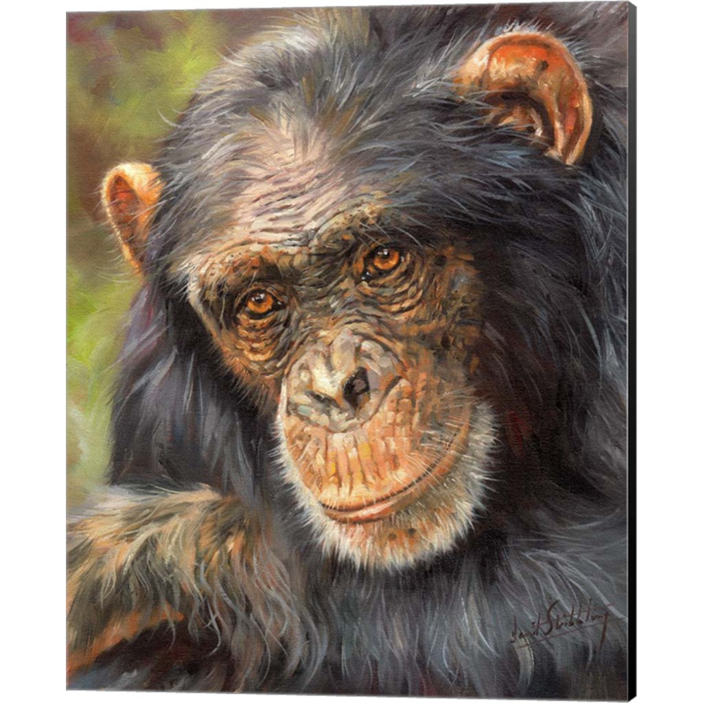 Ebern Designs Chimp The Thinker by David Stribbling - Wrapped Canvas ...