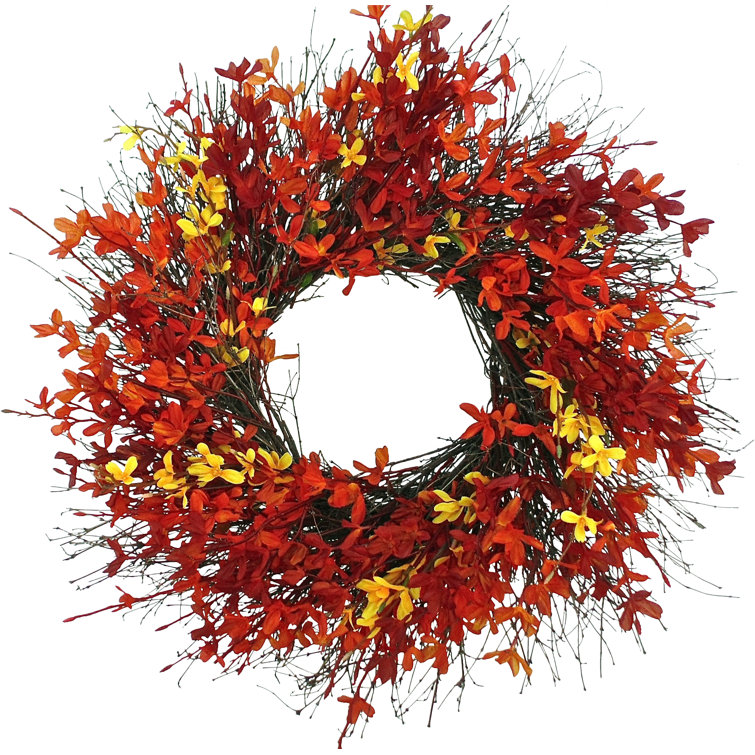 Dried Flowers and Wreaths LLC Firebush Wreath & Reviews | Wayfair