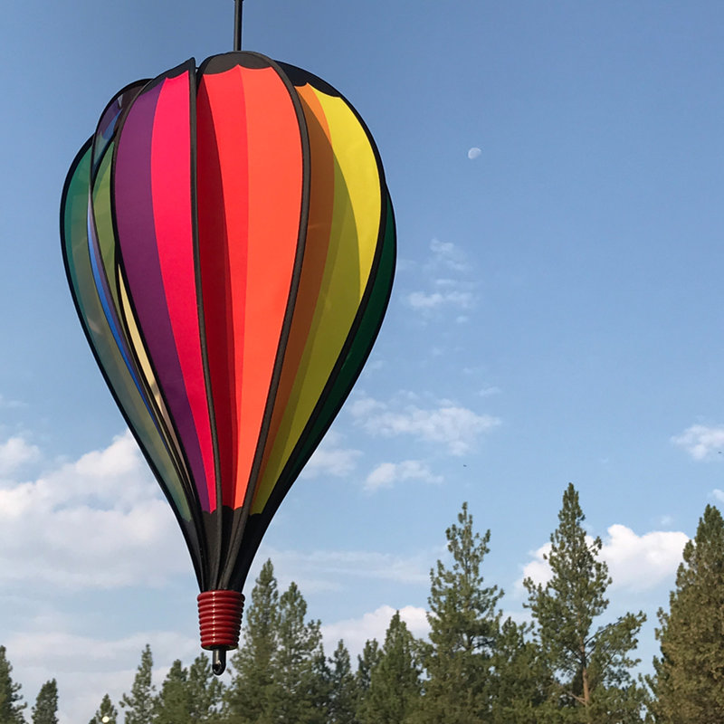 Ebern Designs Rainbow Spectrum 10 Panel Hot Air Balloon & Reviews | Wayfair