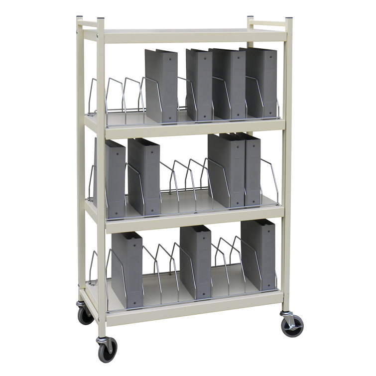 Omnimed Standard 30 Cap Vertical Chart File Cart | Wayfair