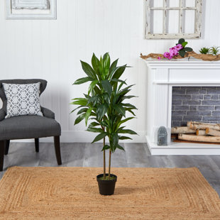 Greenery | Wayfair