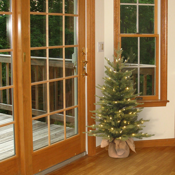 Front-door-christmas-trees | Wayfair