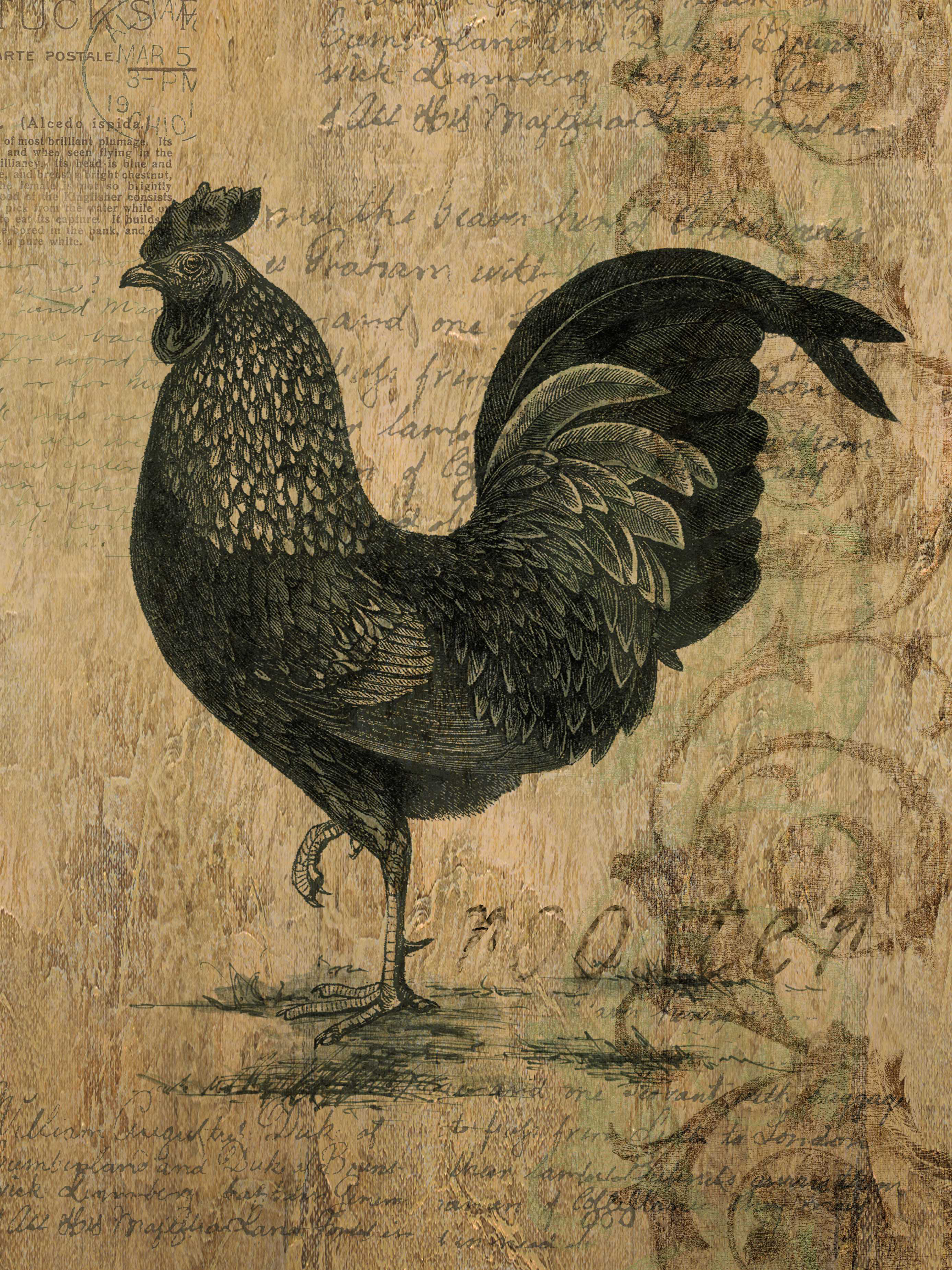 August Grove® Country Rooster - Wrapped Canvas Print | Wayfair