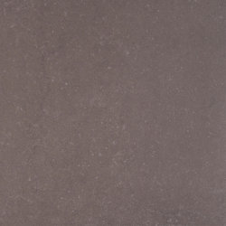 MSI Dimensions 24" x 24" Porcelain Field Tile & Reviews | Wayfair