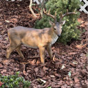 Design Toscano Big Rack Buck Deer Statue & Reviews | Wayfair