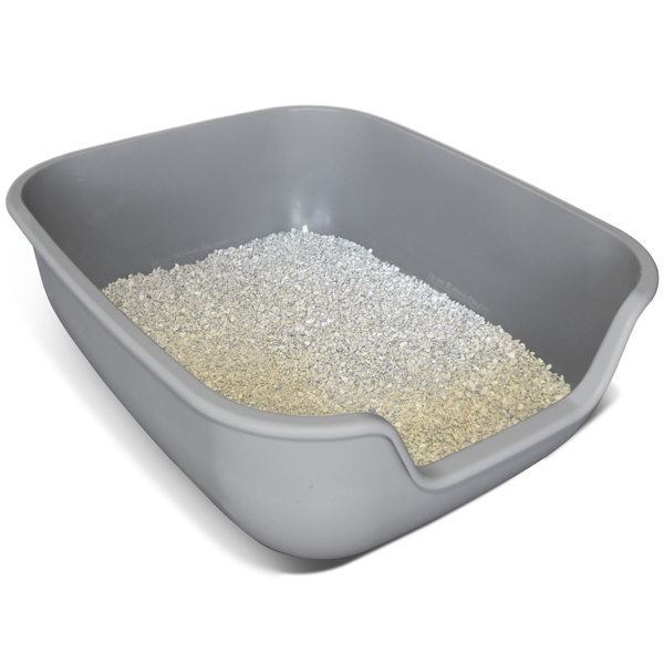 Standard Litter Box You'll Love in 2022 - Wayfair Canada