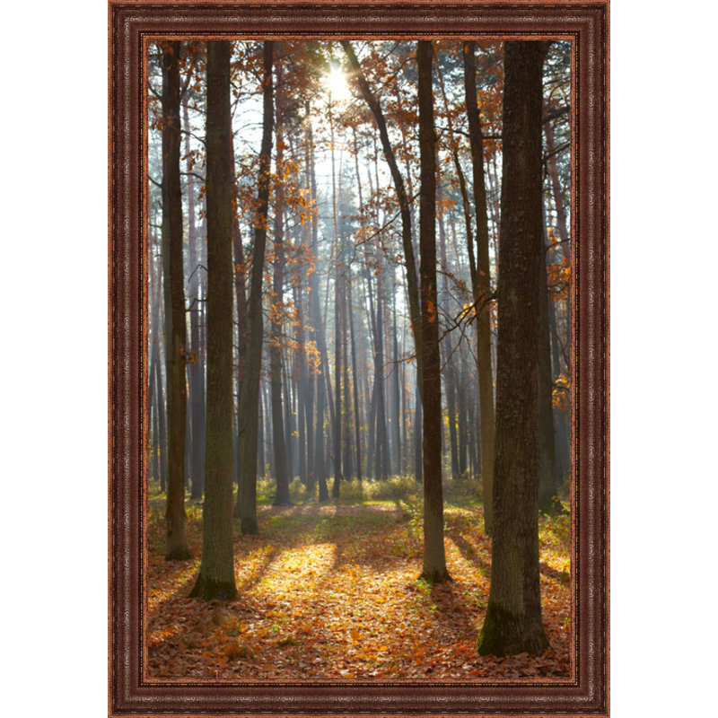 MidwestArtFrame 'Autumn Forest' Picture Frame Photograph Print on Paper ...