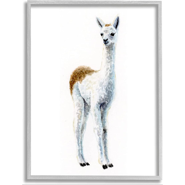 Union Rustic Alpaca Animal Watercolor Portrait Children's Nurse Alpaca ...