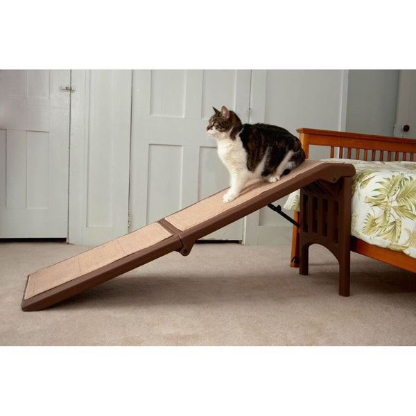 Pet Gear Free Standing 56" Pet Ramp & Reviews | Wayfair