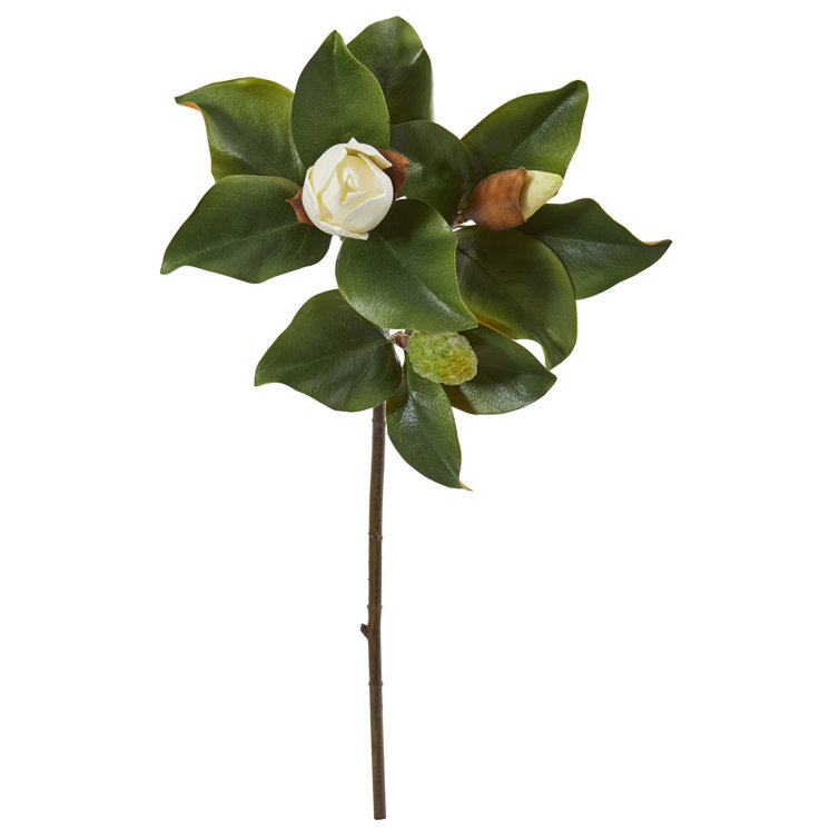 Gracie Oaks Artificial Magnolia Stem & Reviews | Wayfair.ca