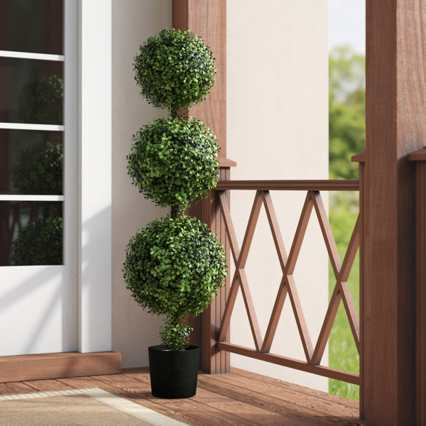 Boxwood-topiary-ball | Wayfair