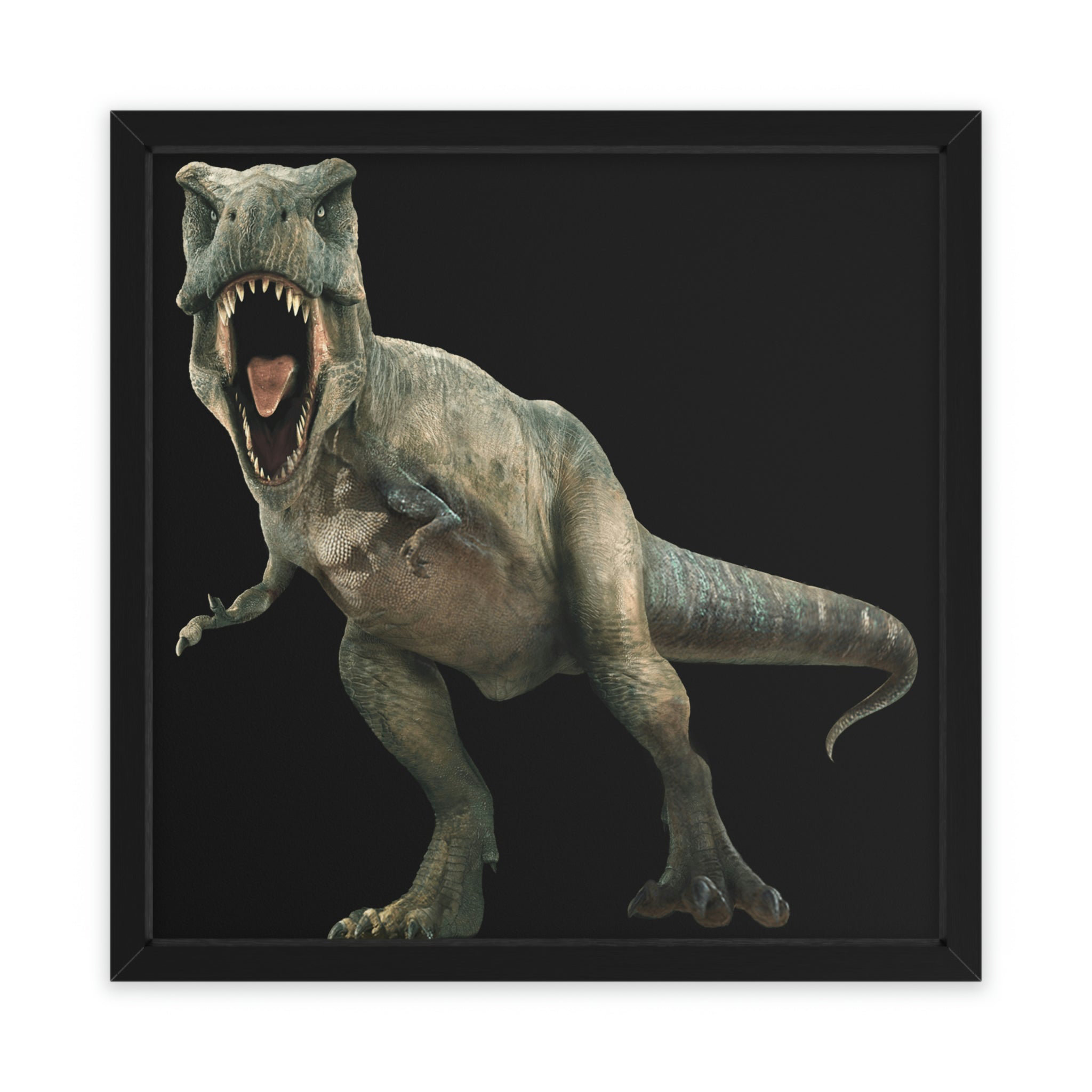 Bless international Tyrannosaurus Rex Dinosaur - Picture Frame ...