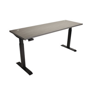 Wayfair | Standing & Height-Adjustable Desks