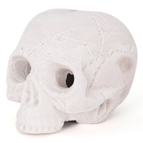 Blue Ridge Brand Skeleton Head/Skull Decor For Outdoor Fire Pit | Wayfair
