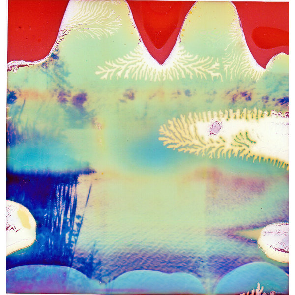 196595633911 | Wayfair