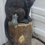 Plow & Hearth Cat and Mouse on Stump Statue & Reviews | Wayfair