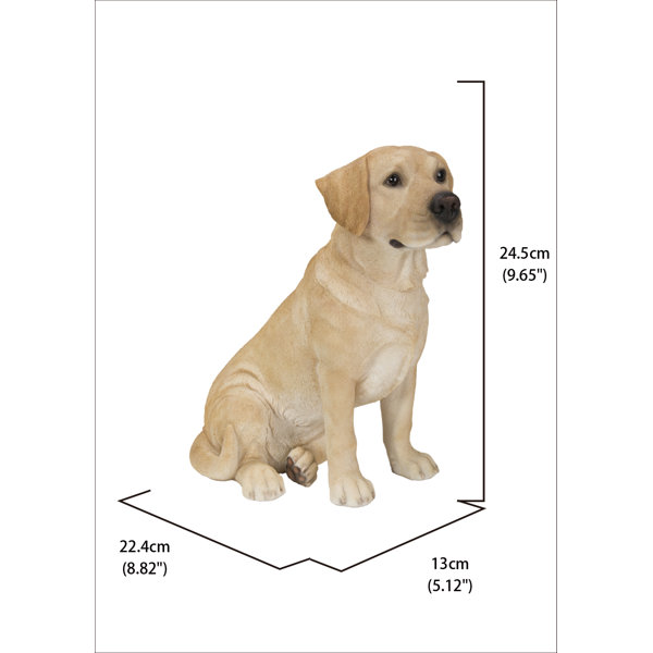 Hi-Line Gift Ltd. Sitting Labrador | Wayfair