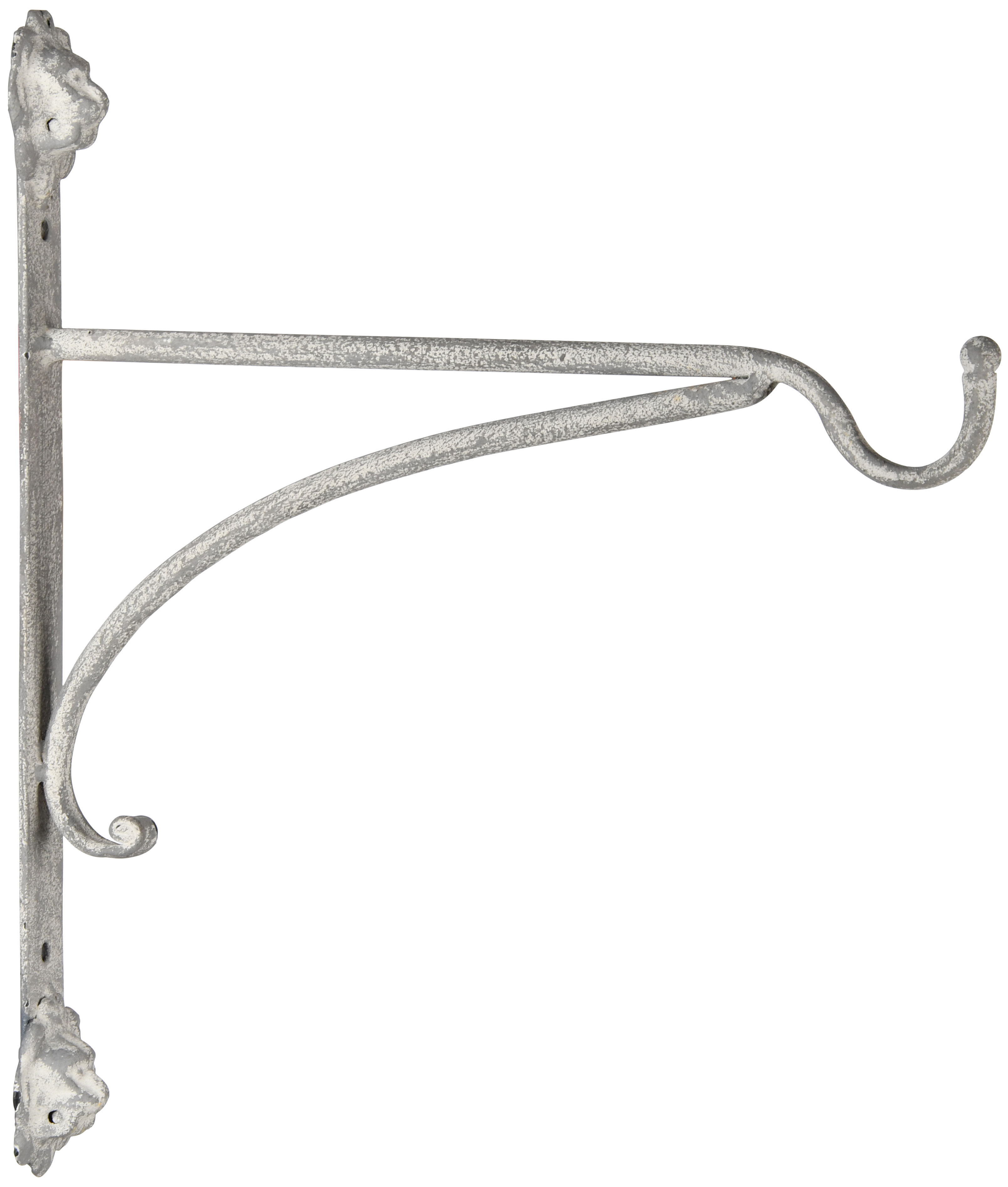 Brambly Cottage Hanging Bracket Lion Head | Wayfair.co.uk