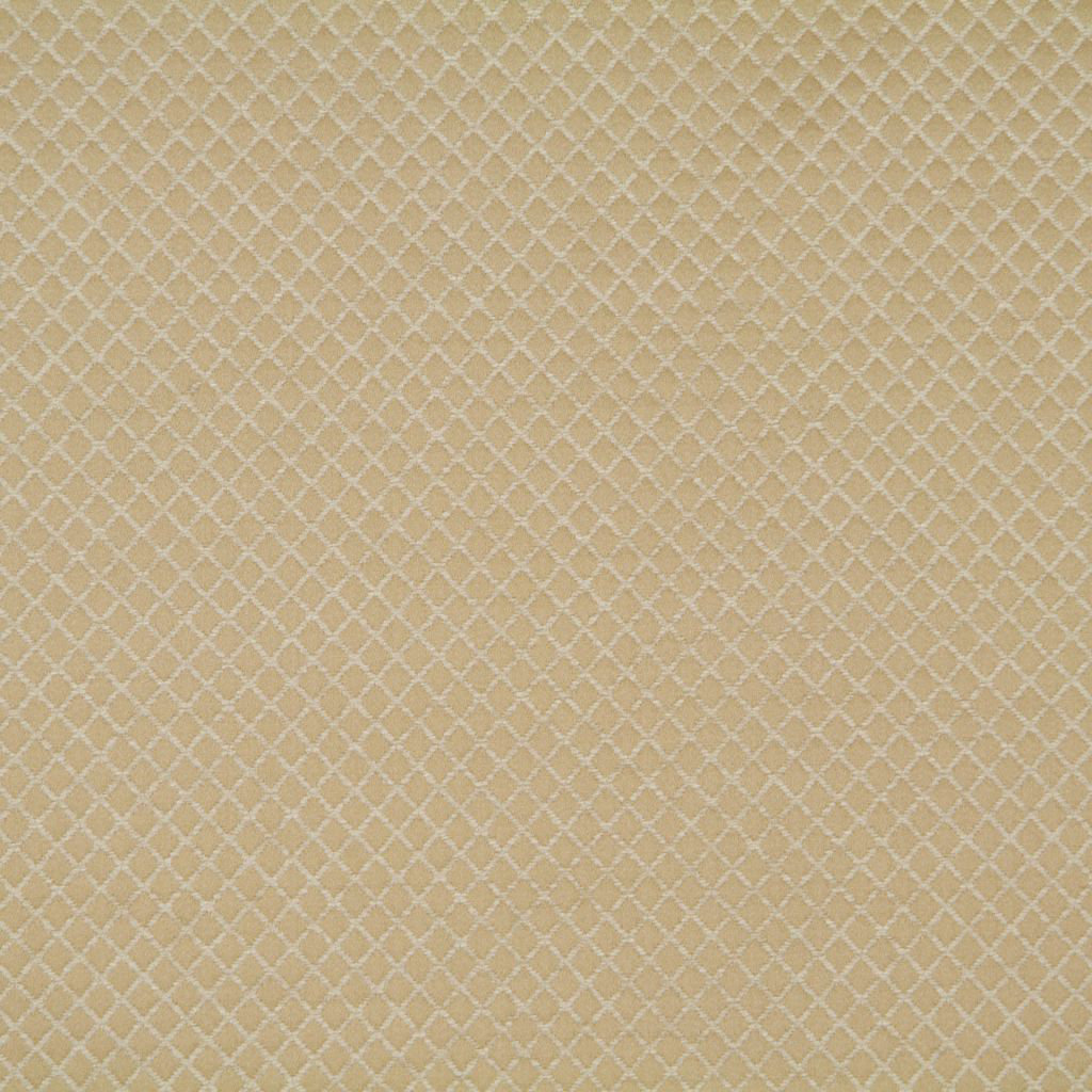 RM Coco Allure Fabric | Wayfair