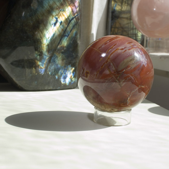 Dakota Fields Arhaam Large Petrified Sphere | Wayfair