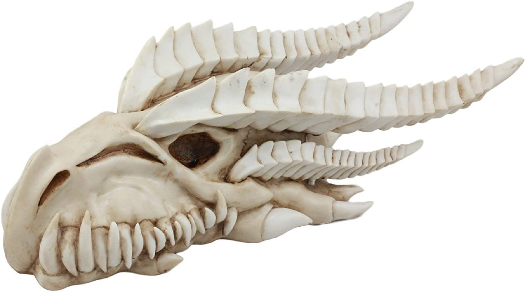 Trinx Desting Large Leviathan Dragon Fossil Skull with Horns and Spikes ...