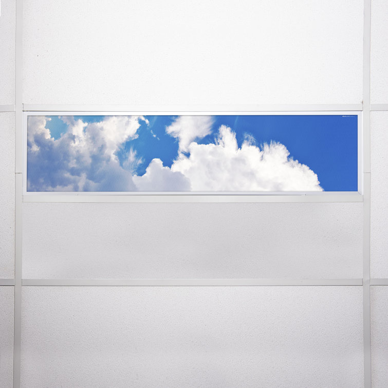 Octo Lights - Fluorescent Light Covers - Flexible Ceiling Light ...