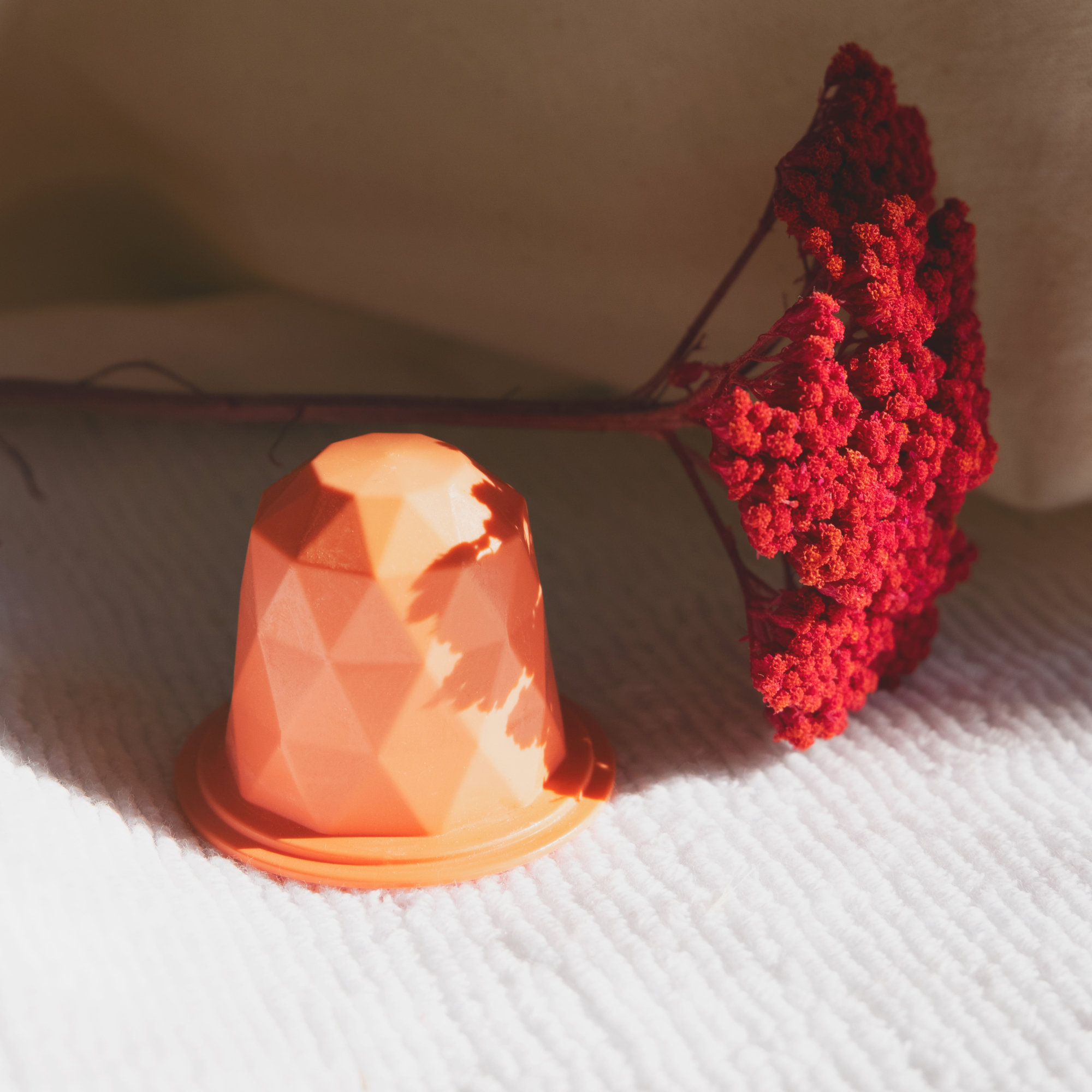 Moen Inly Aromatherapy Shower Capsule | Wayfair