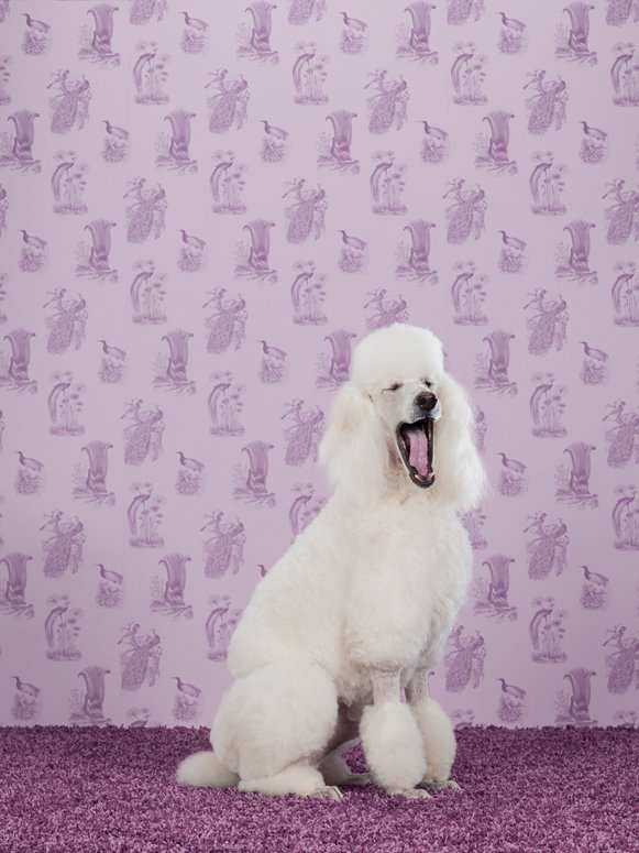 Ebern Designs Catherine Ledner - Wrapped Canvas Photograph | Wayfair