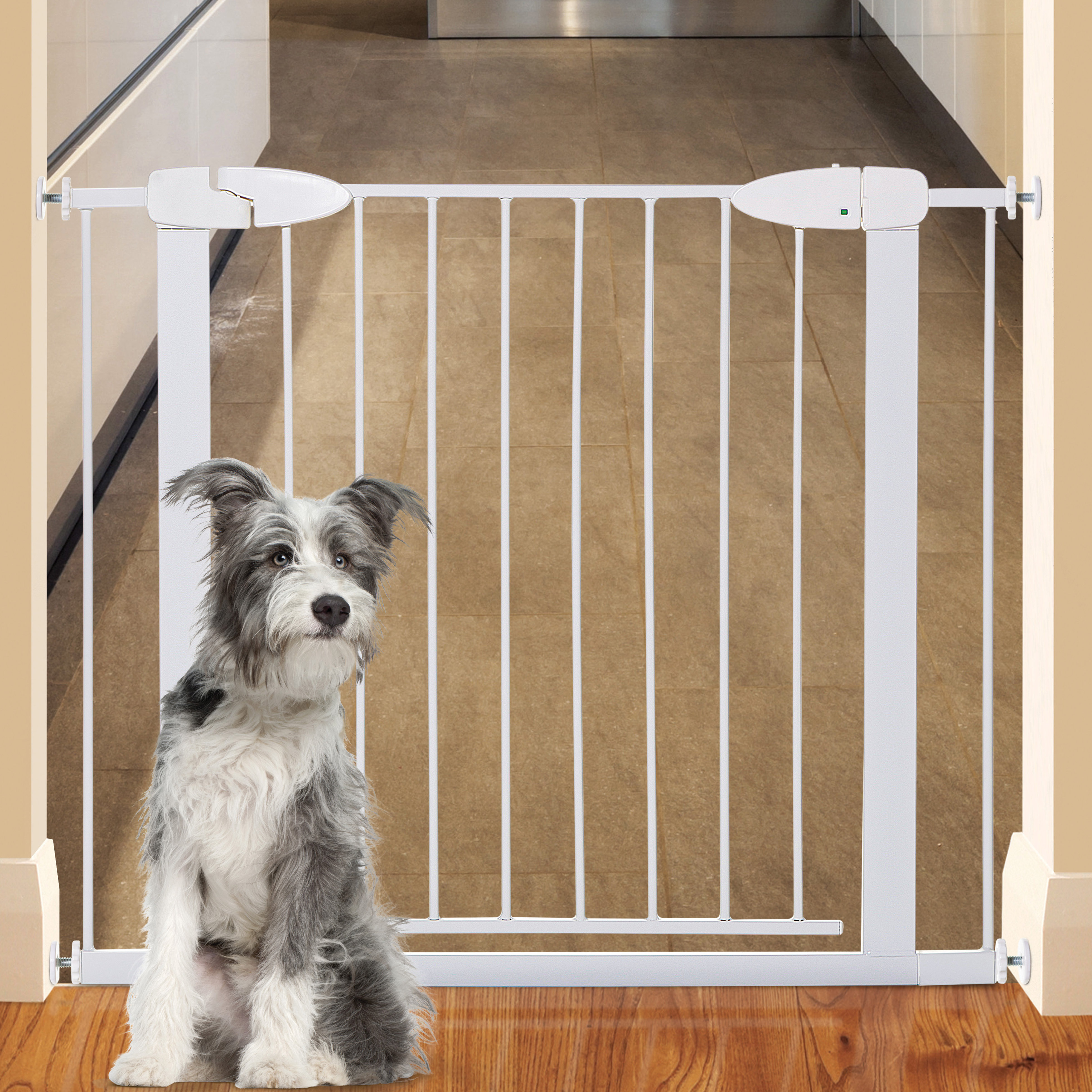 Dreambaby Auto Close Metal Baby Gate w/ EZY-Check Indicator & Reviews ...