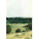 Union Rustic Treeline Vista II - Wrapped Canvas Painting | Wayfair.co.uk