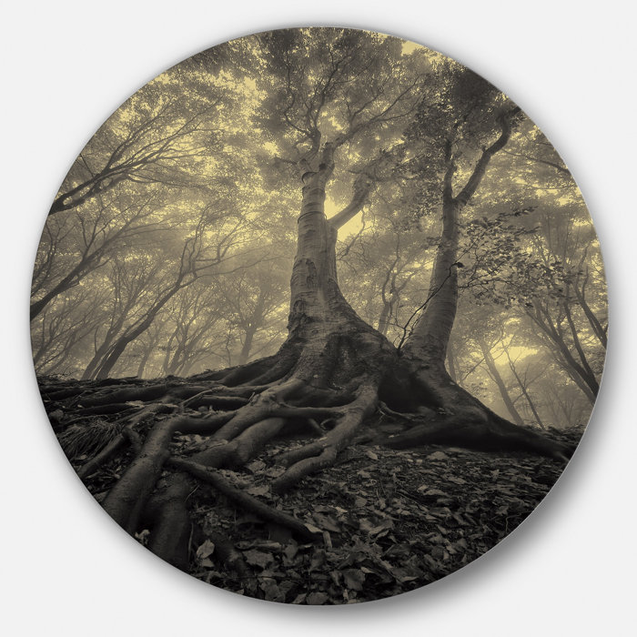 The Holiday Aisle® Dyllen Tree With Big Roots On Halloween - Graphic ...