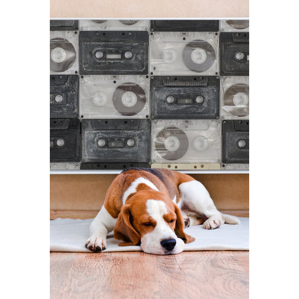 East Urban Home Latiera Radiator Sticker | Wayfair.co.uk