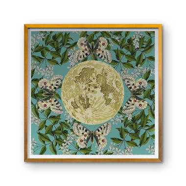 Grand Image Entomology Beetles Chart by Thicket Design - Framed ...