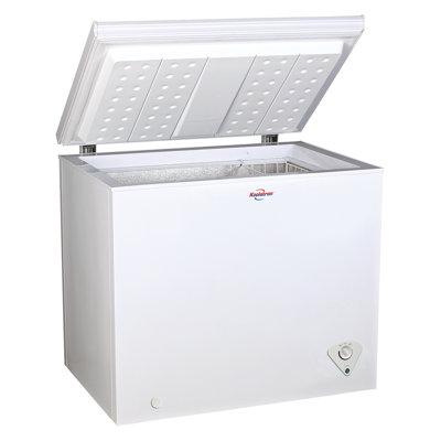 Auto Defrost Compact Freezer | Wayfair