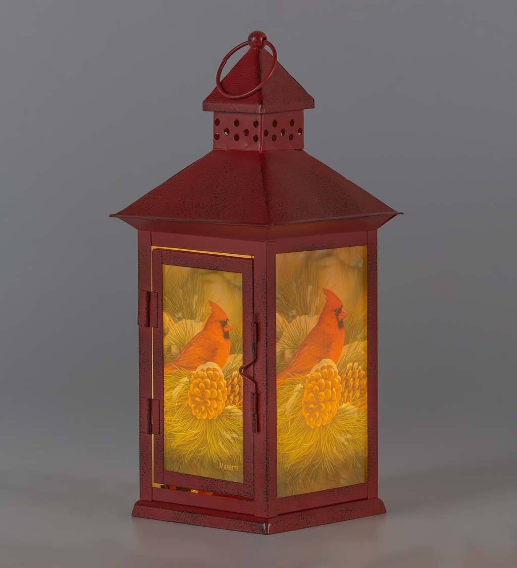 Wind & Weather Lighted Cardinal Lantern | Wayfair