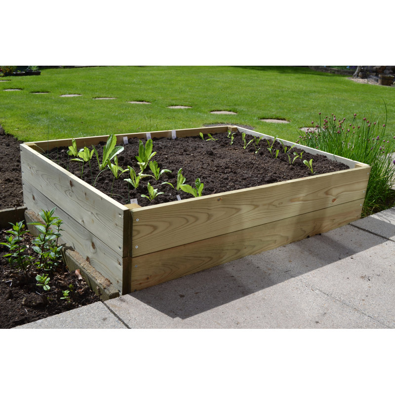 Freeport Park Aislinn Wooden Raised Flower Bed | Wayfair.co.uk
