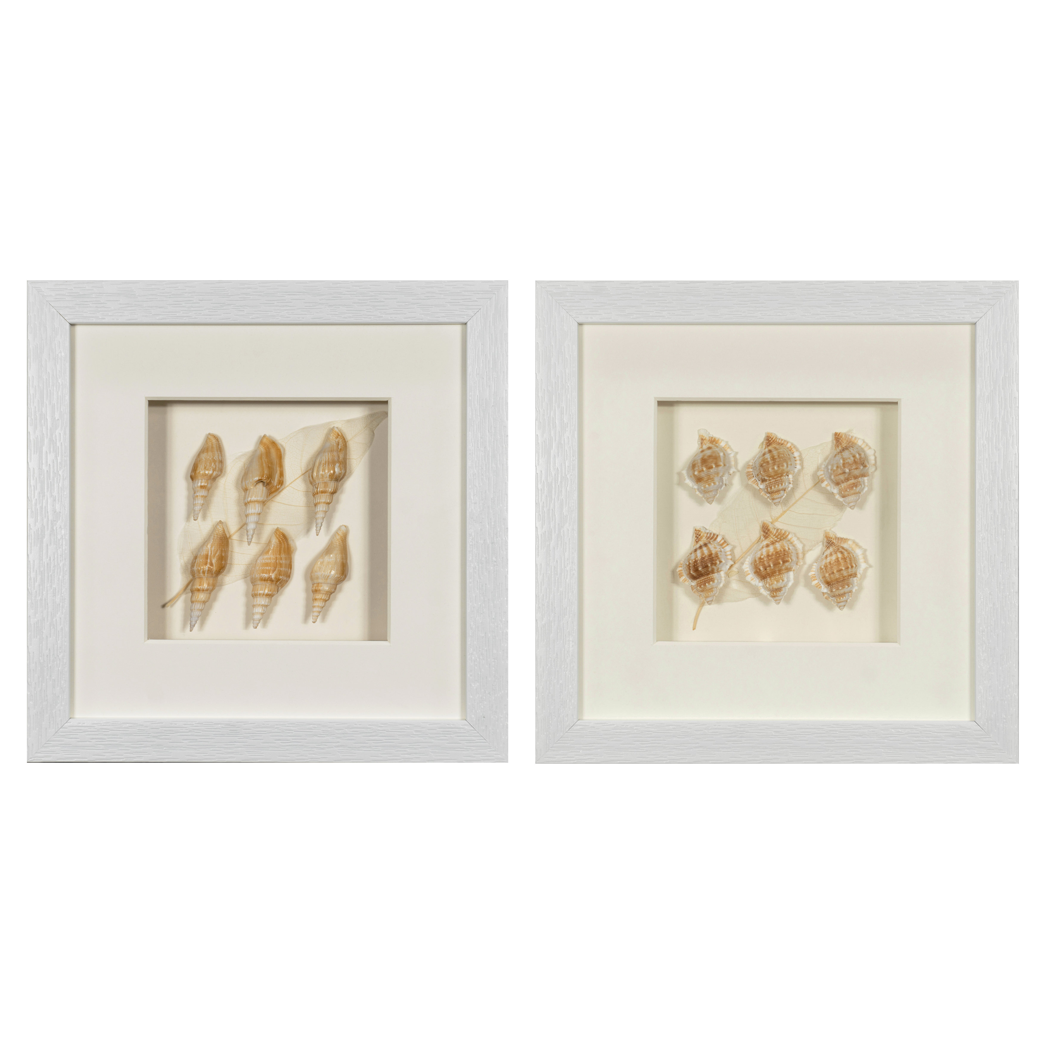 Rosecliff Heights 2 Piece Sea Shell Shadow Box Wall Décor Set | Wayfair