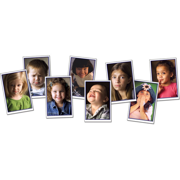 Carson Dellosa Publications Photographic Flash Cards | Wayfair