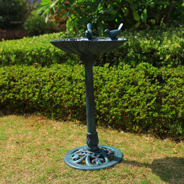 36 Inch Bird Bath | Wayfair