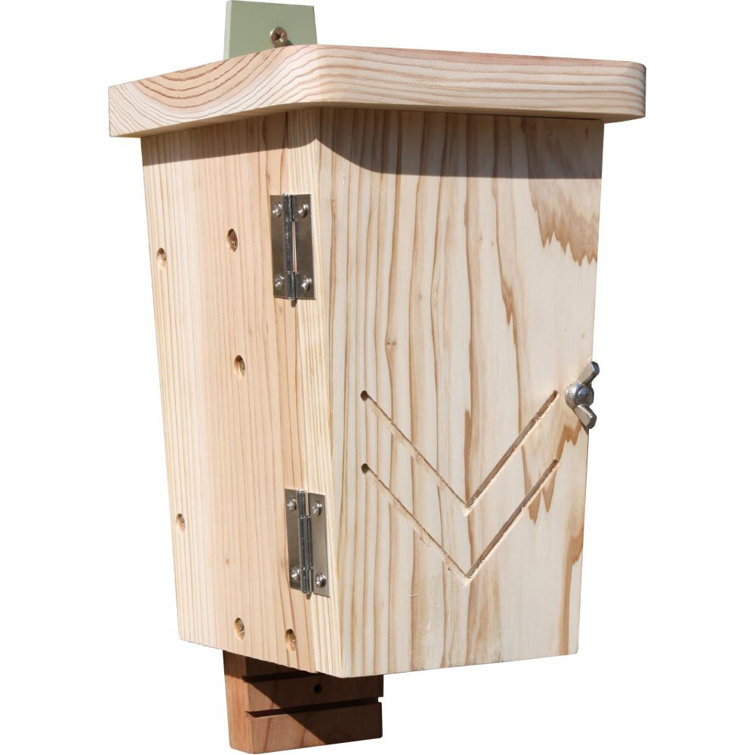 Union Rustic Bucknam Wall Mounted Bat House | Wayfair.co.uk